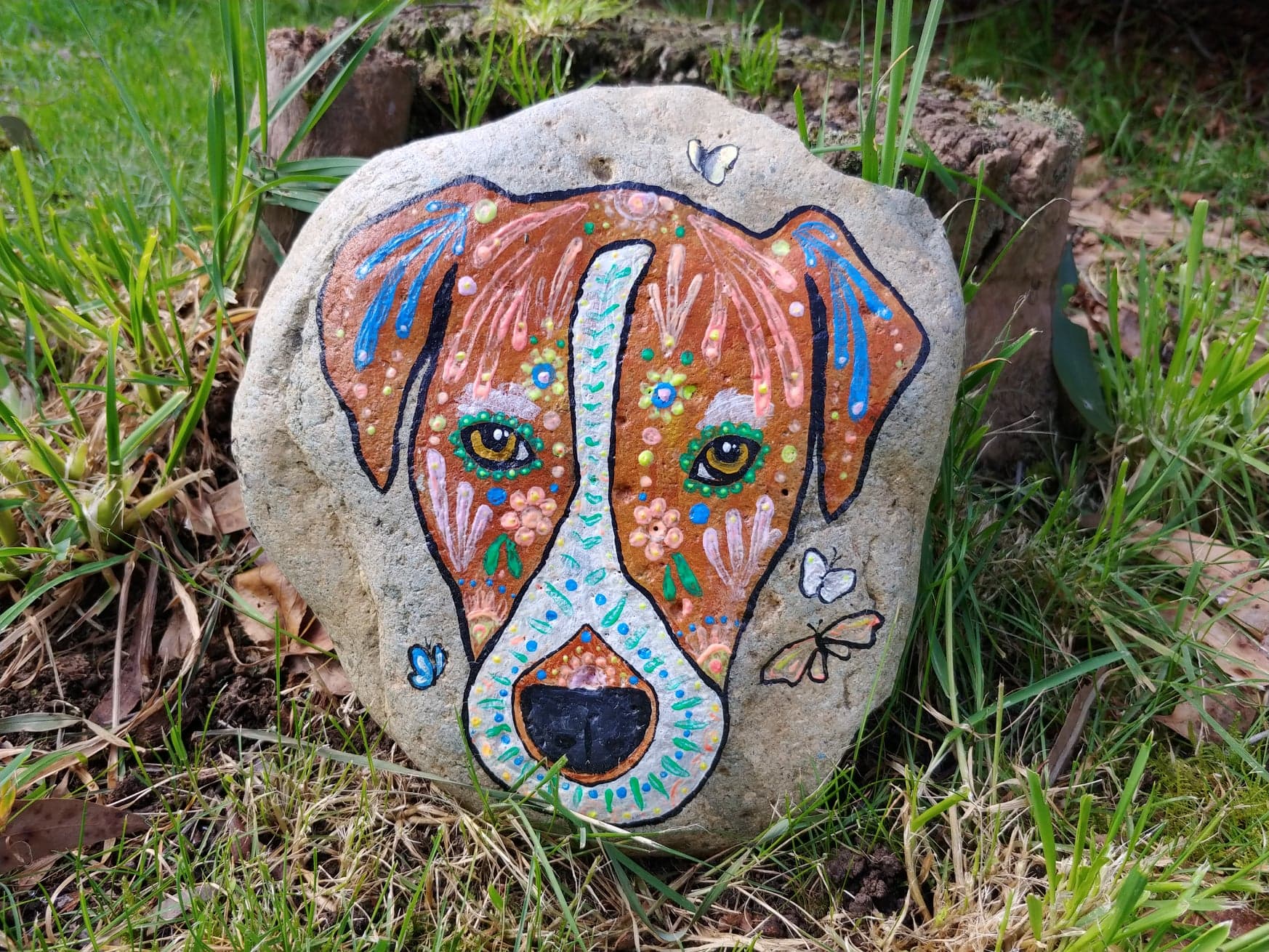 Animal hospice care – Unhurried