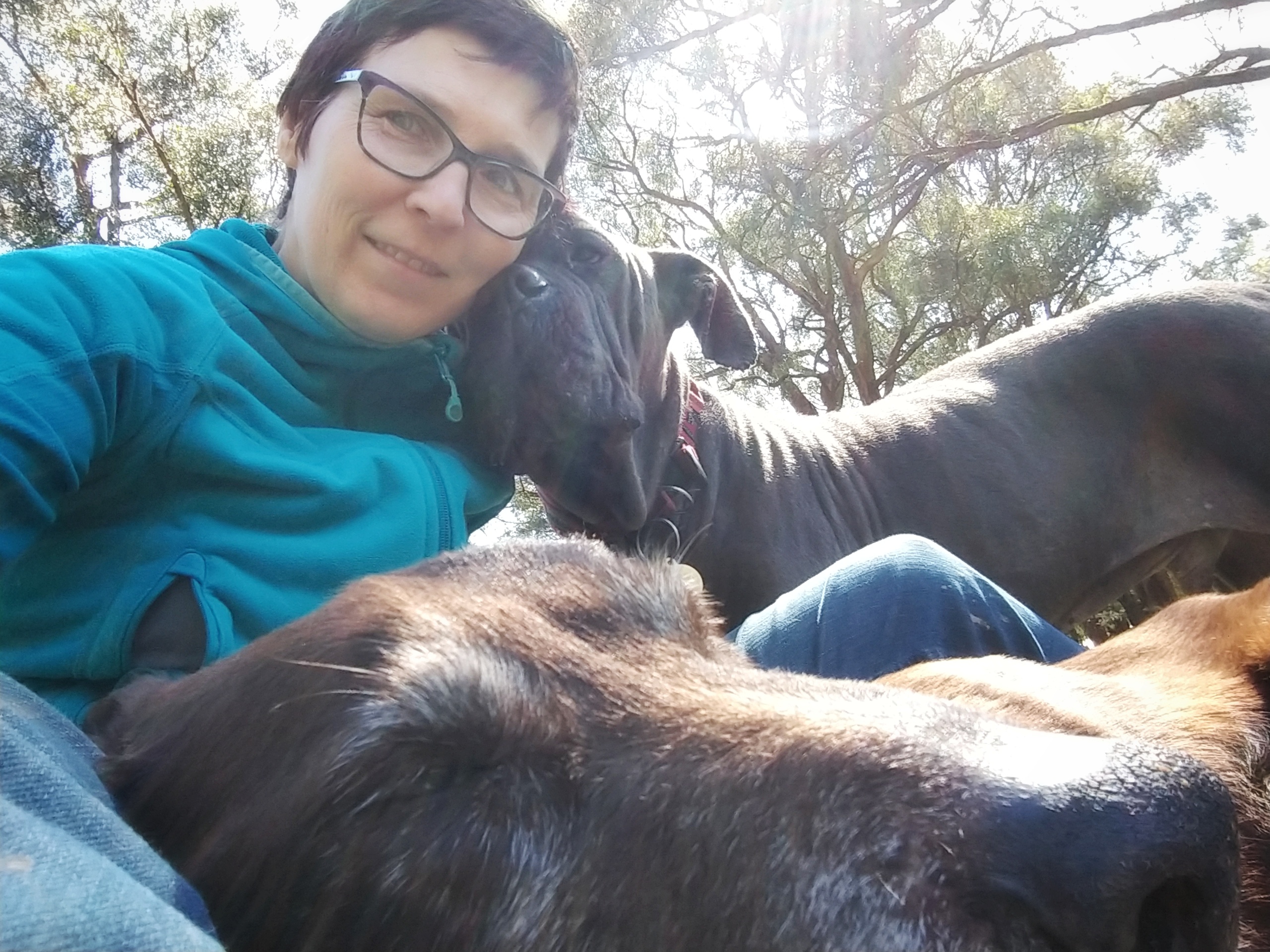 Animal hospice care – Unhurried